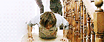 Tons of great Robert Pattinson GIFs made by @FmeRob | Thinking of Rob